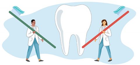 Oral Health Basics - Ontario Dental Association